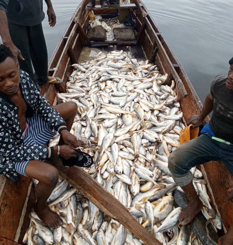 Moanda : les pêcheurs de Kimuabi lancent un appel pour la ...